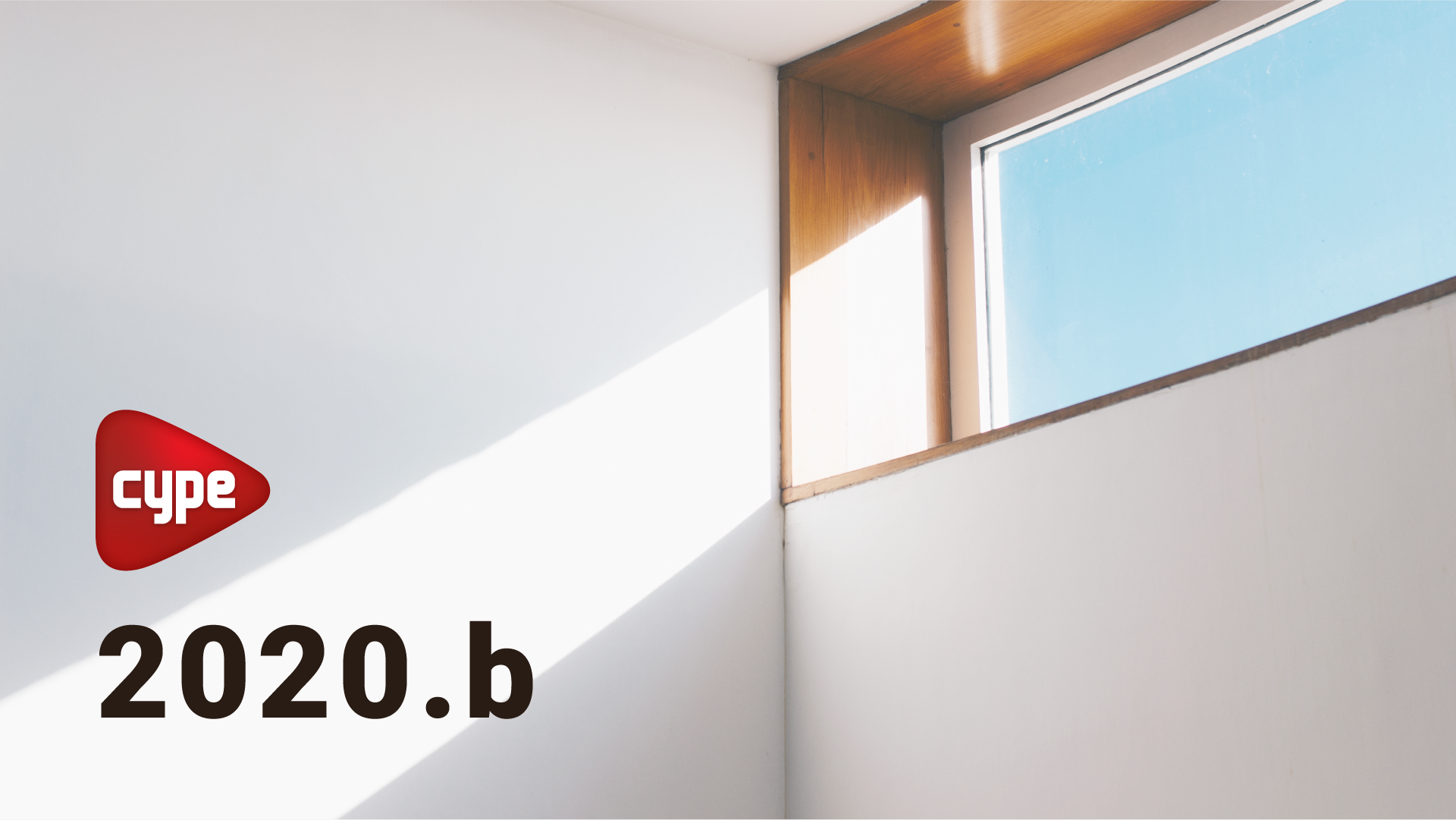 2020.b Version - CYPE